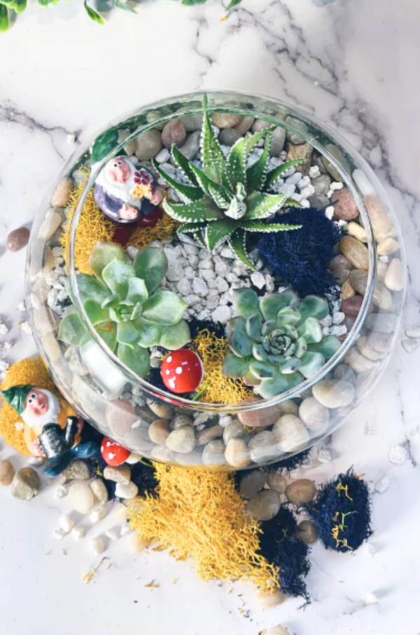 Classic Terrarium Workshop – The Crafty Kit