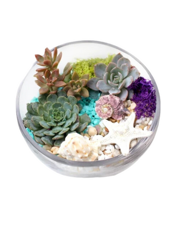 Nature Planter Kit – The Crafty Kit